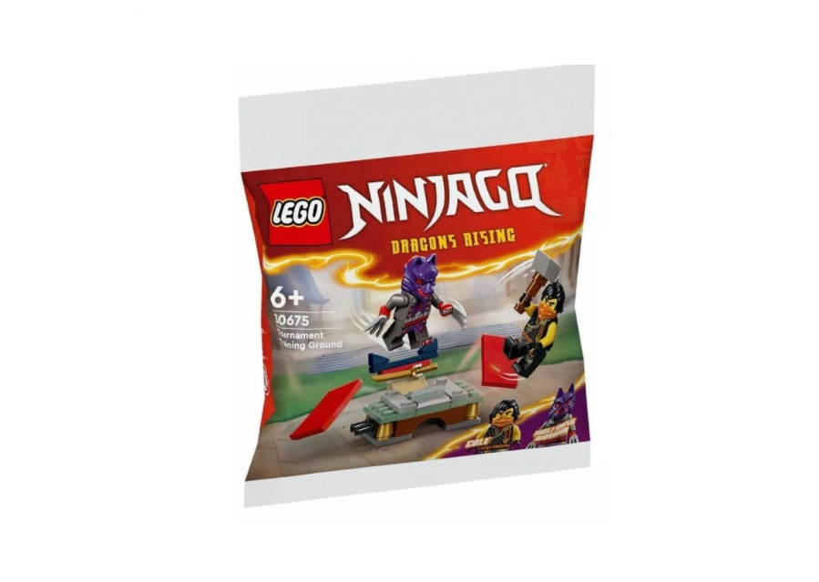 LEGO Ninjago 30675 Cole / Dragons Rising Figures